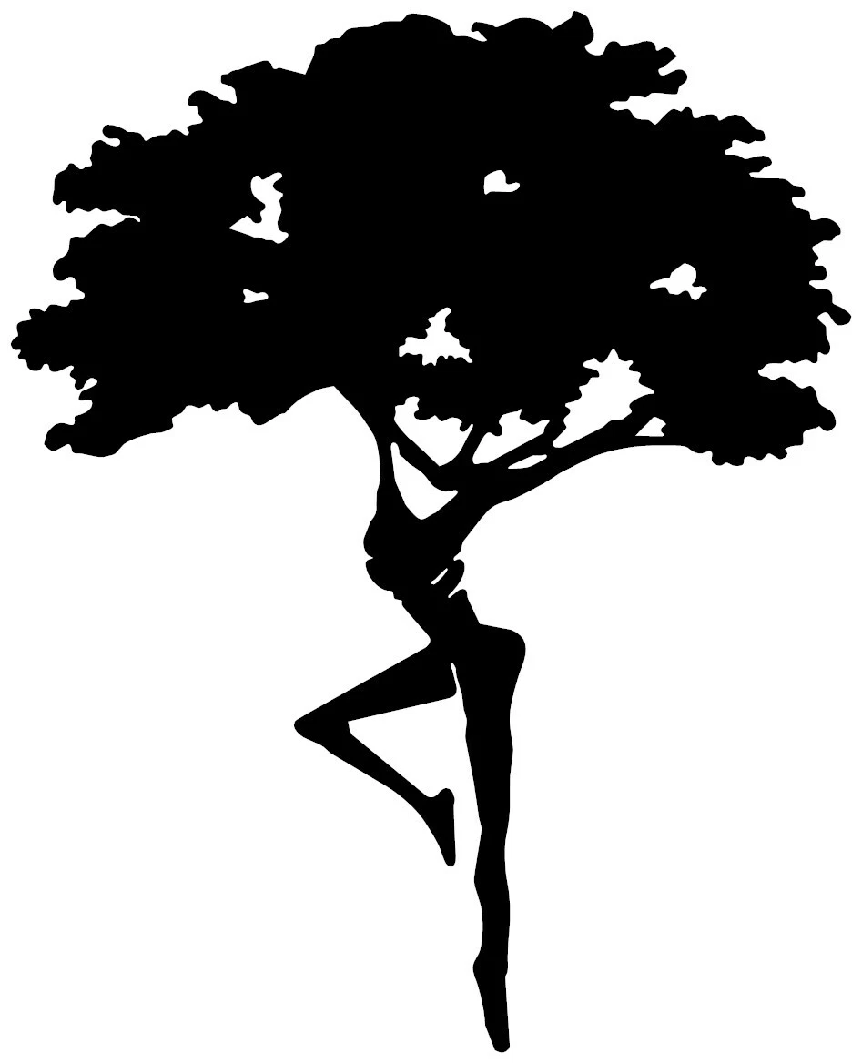 Dave Matthews Band Fire Dancer