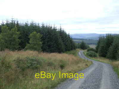 Photo 6x4 Forest Track Redesdale Camp 2 c2007 | eBay UK