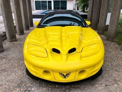 1998-2002 WSX (WSQ Style Modified) Hood for Firebird Formula Trans Am ...