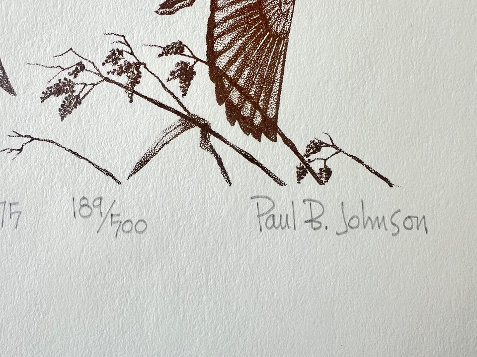 1975 California Duck Stamp Print Signed by Artist Paul Johnson 189/500 ...