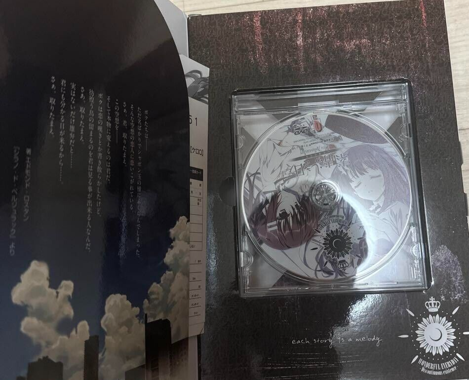 Wonderful Everyday - Discontinuous Existence - 10th Anniversary Special ...