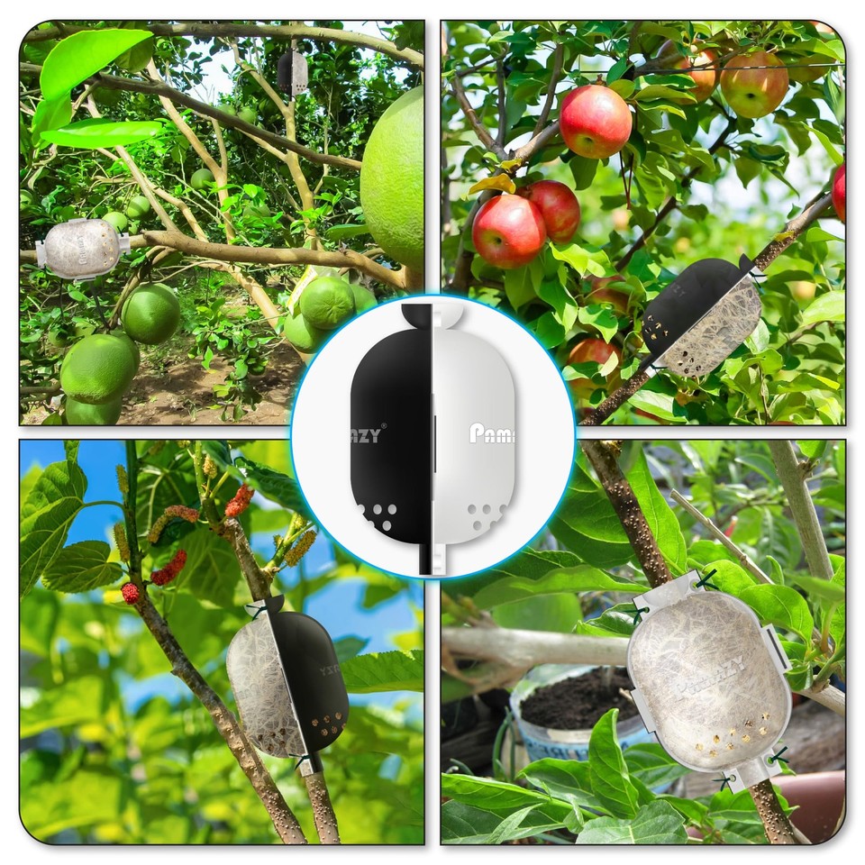 9Pcs Tree Root Growing Box with Drain Holes for Fast Plant Propagation ...