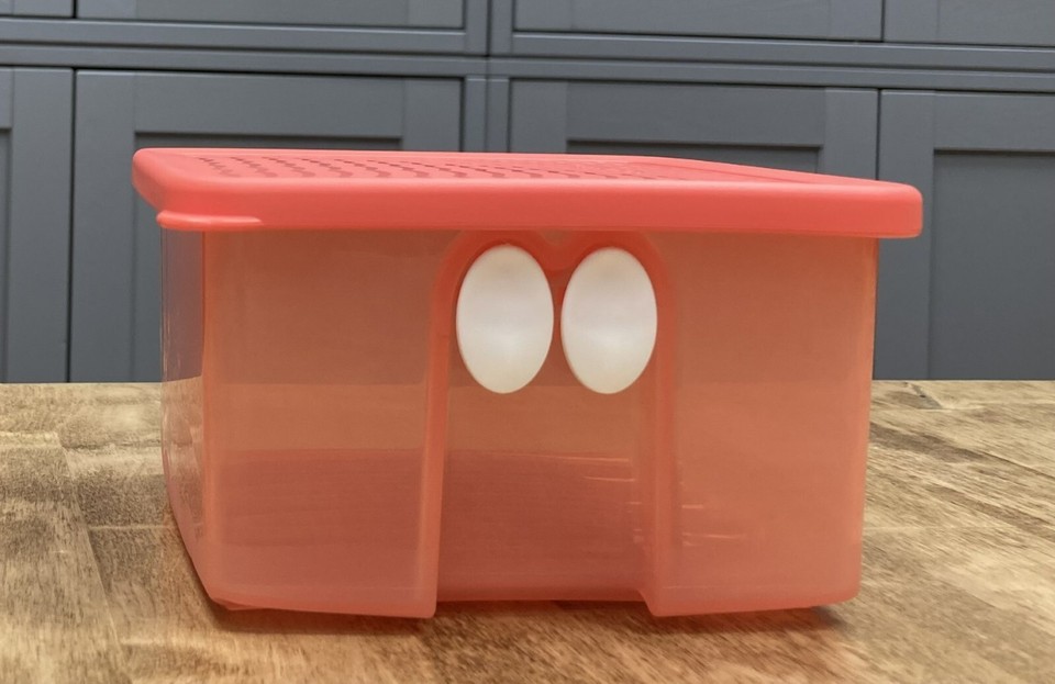 Tupperware FridgeSmart Containers-Color and Sizes Choice-Original Style ...