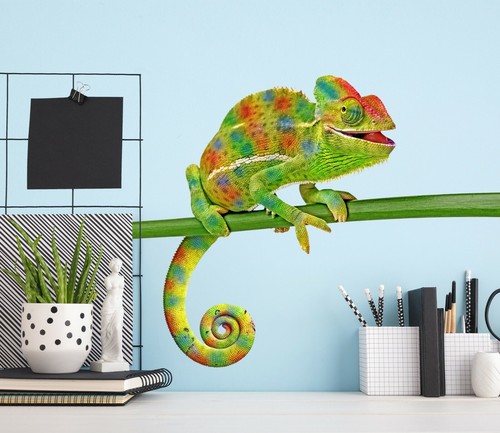 3D Color Chameleon G020 Animal Wallpaper Mural Poster Wall Stickers ...