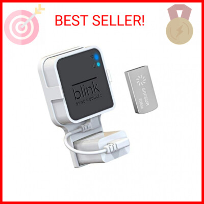 256GB USB Flash Drive for Local Video Storage with The Blink Sync ...