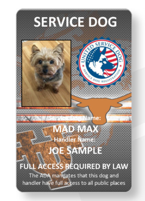 Longhorns Service Dog/Emotional support/Therapy Dog ID card | eBay