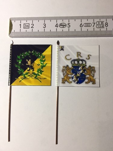 623) 2x 28mm Great Northern War 1700-21 Swedish Skaraborg Regiment ...