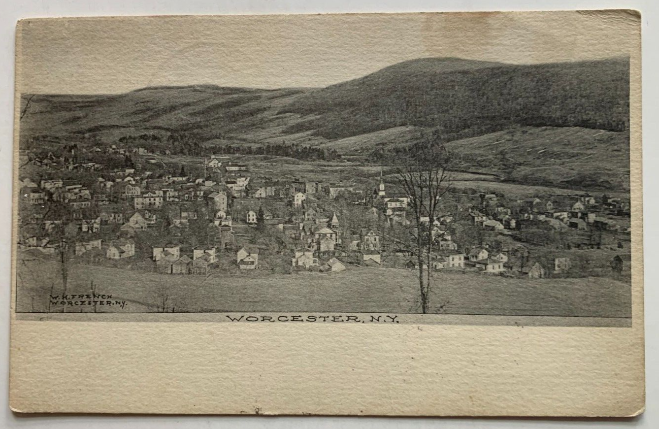 1907 NY Postcard Worcester New York Bird's Eye view Town Buildings Otsego County | eBay