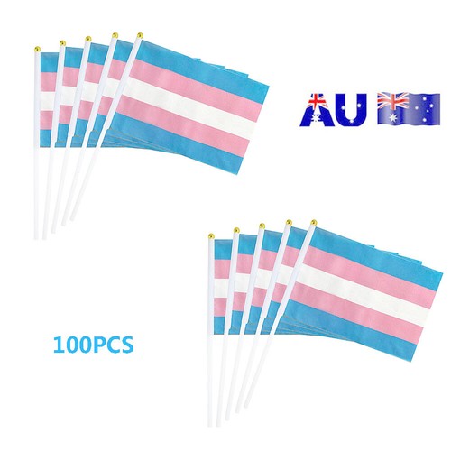 100x Transgender Pride Flag Gay Lesbian LGBT 14 x 21cm Mini Flags Hand ...