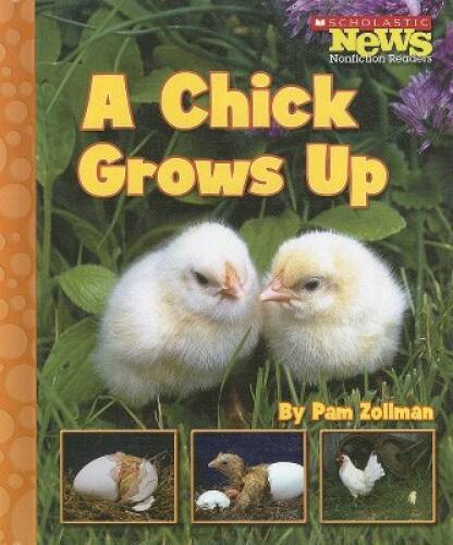 A Chick Grows Up (Scholastic News Nonfiction Readers: Animal Life ...