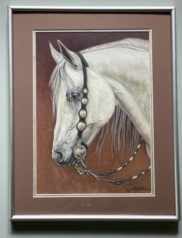 Original Signed Equine Colored Pencil Drawing, Arabian Horse, by Merry ...