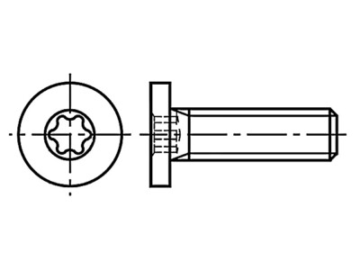 100X M2.5X5/BN20146 Bolt M2.5x5 Head: Cylinder Torx® A2 Stainless Steel ...