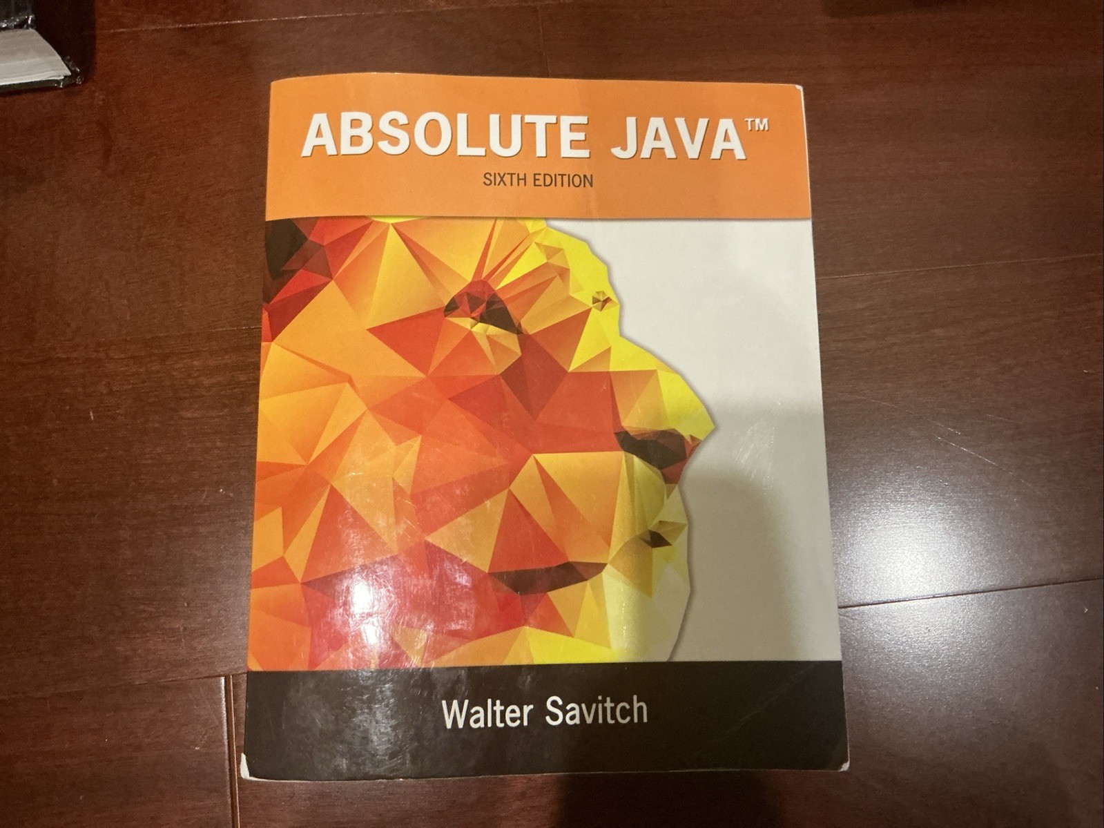 Absolute Java by Kenrick Mock and Walter Savitch (2015, Trade Paperback) for sale online | eBay