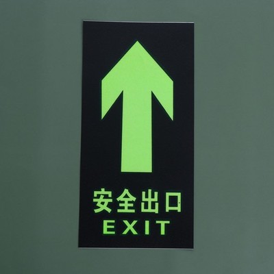 8pcs Photoluminescent Fire EXIT Sign Noctilucence Luminous with Arrows ...