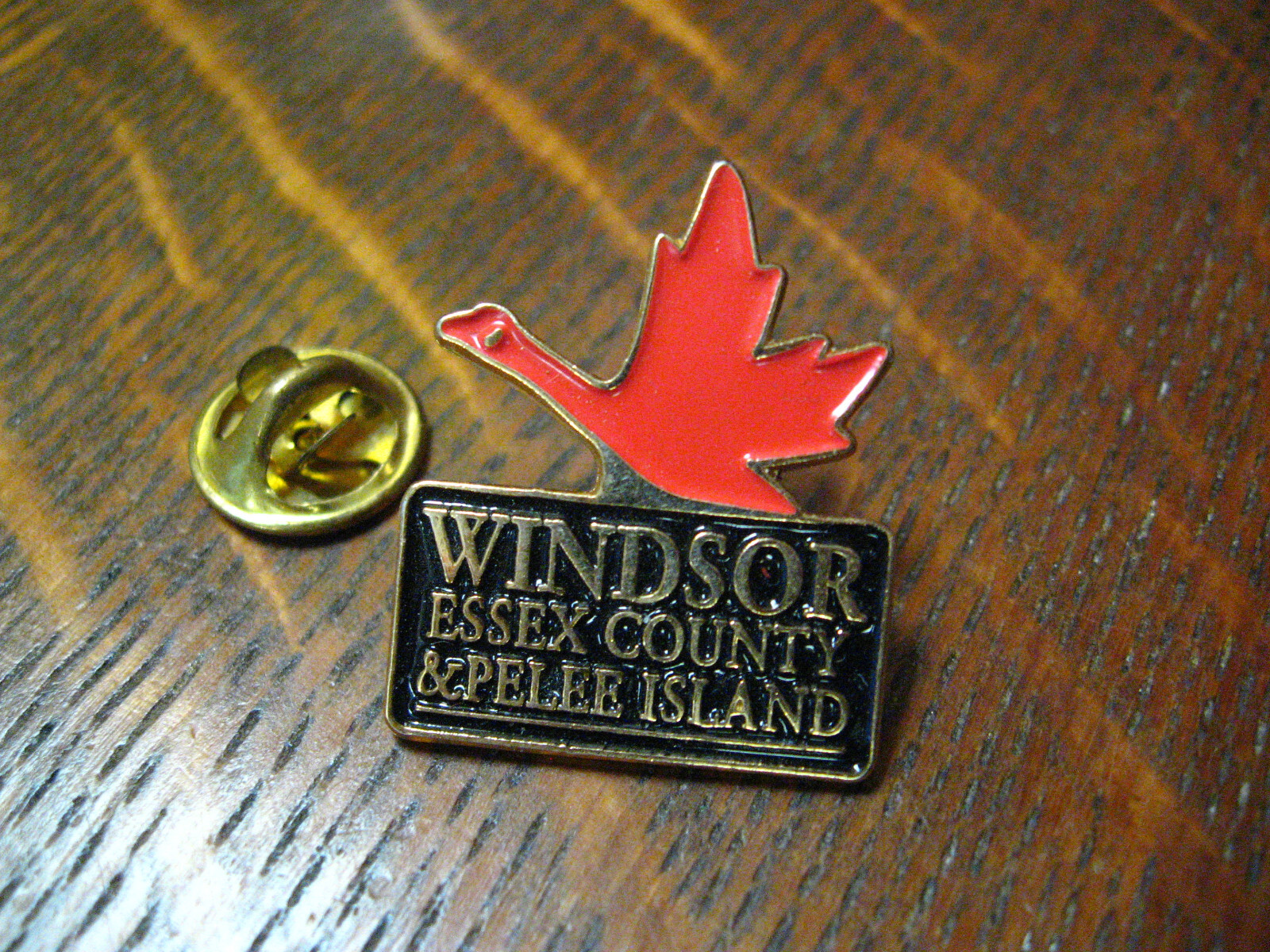 Windsor Essex County & Pelee Island Lapel Pin - Ontario Canada Souvenir ...