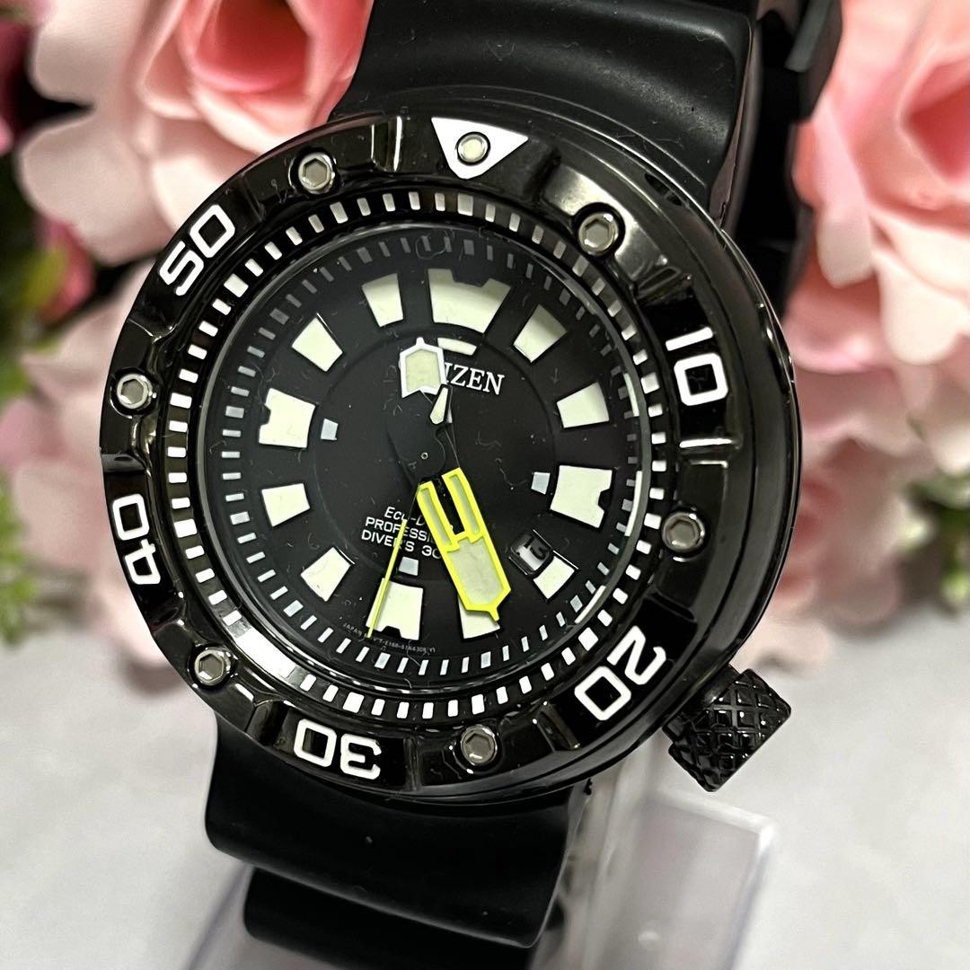 Citizen Promaster Eco-Drive Diver 300m BN0177-05E Bla… - Gem