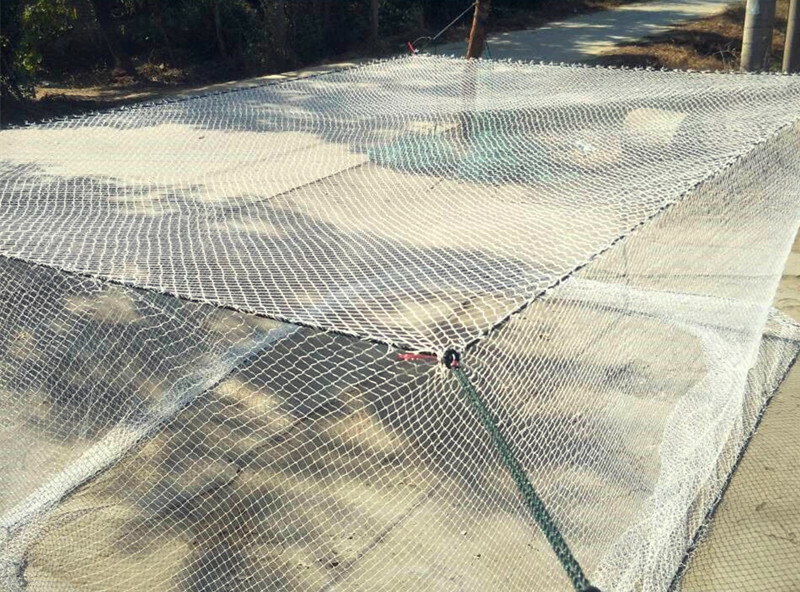 Goldfish Koi Fish Cage Pond Isolation Fish Crab Shrimp Nylon Net ...