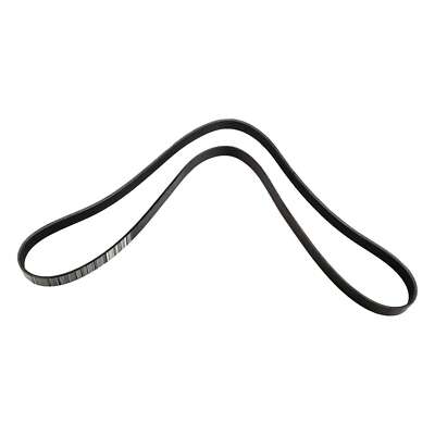 ACDelco 12669858 - GM Original Equipment Serpentine Belt | eBay