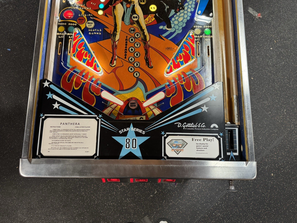 1980 GOTTLIEB PANTHERA PINBALL MACHINE PROFESSIONAL TECHS 8 DROP ...
