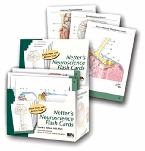 NETTER'S NEUROSCIENCE FLASH CARDS, 1E (NETTER BASIC By David L. Felten ...