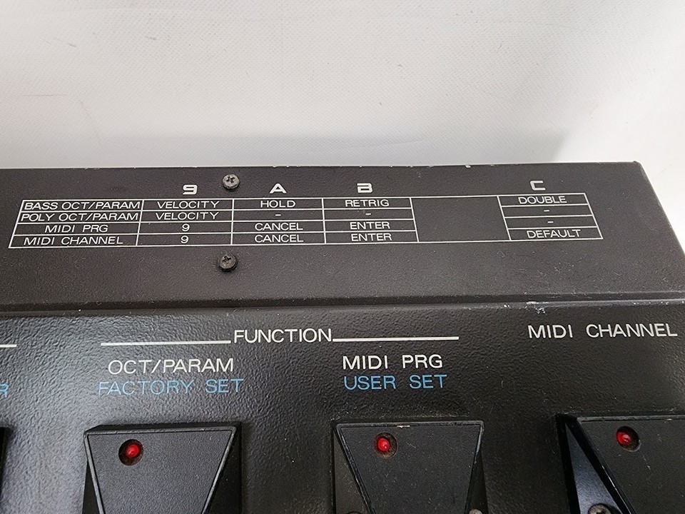 Roland PK-5 Foot Controller Dynamic MIDI PEDAL | eBay