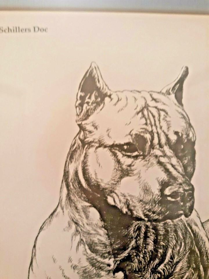 c Vtg Horror Dale Kuipers PITBULL PIT Dog Strong DOG POSE No 17/ 1000 ...