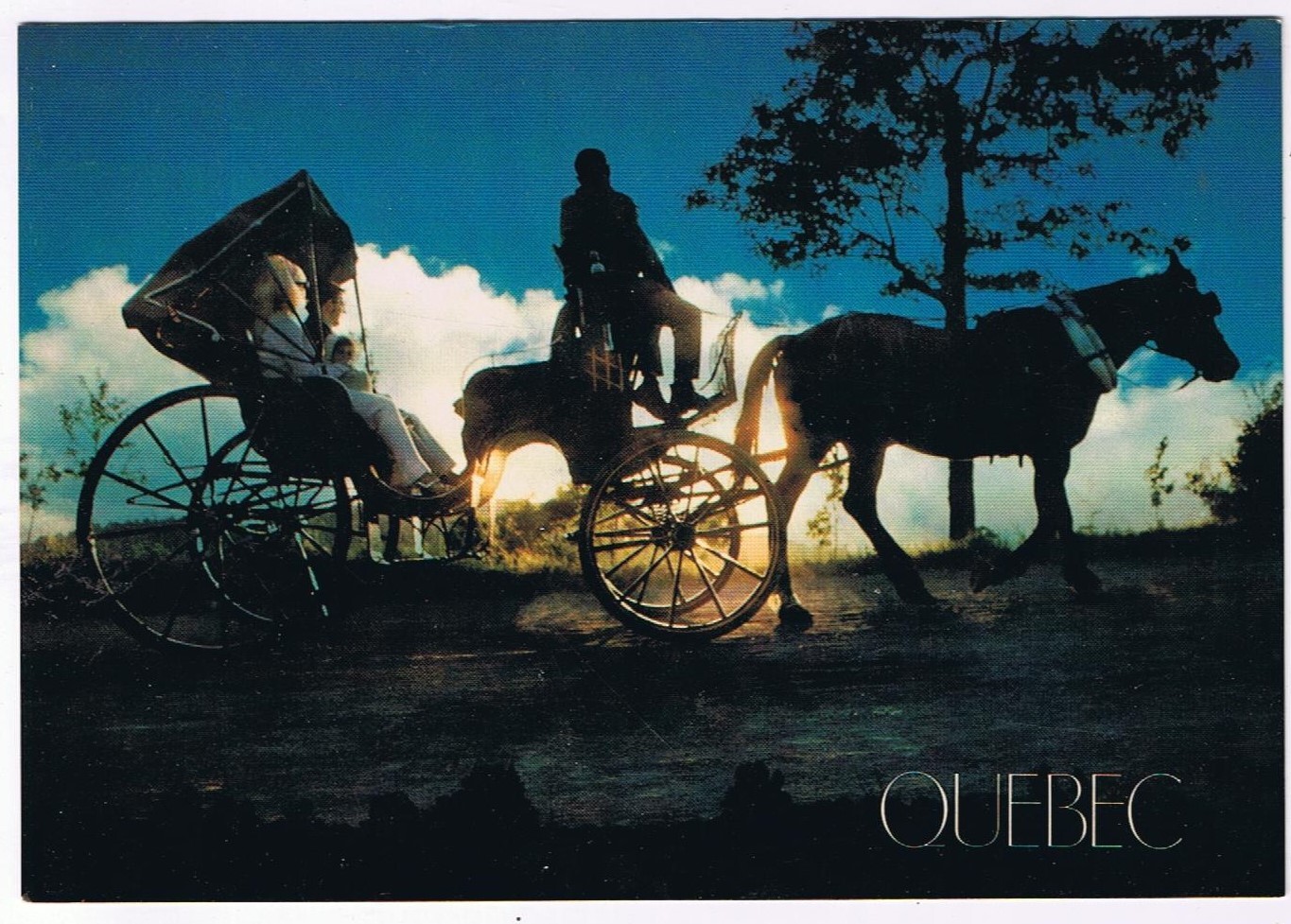 Postcard Quebec Caleche Horse & Buggy 4 1/2" x 6 3/4" | eBay