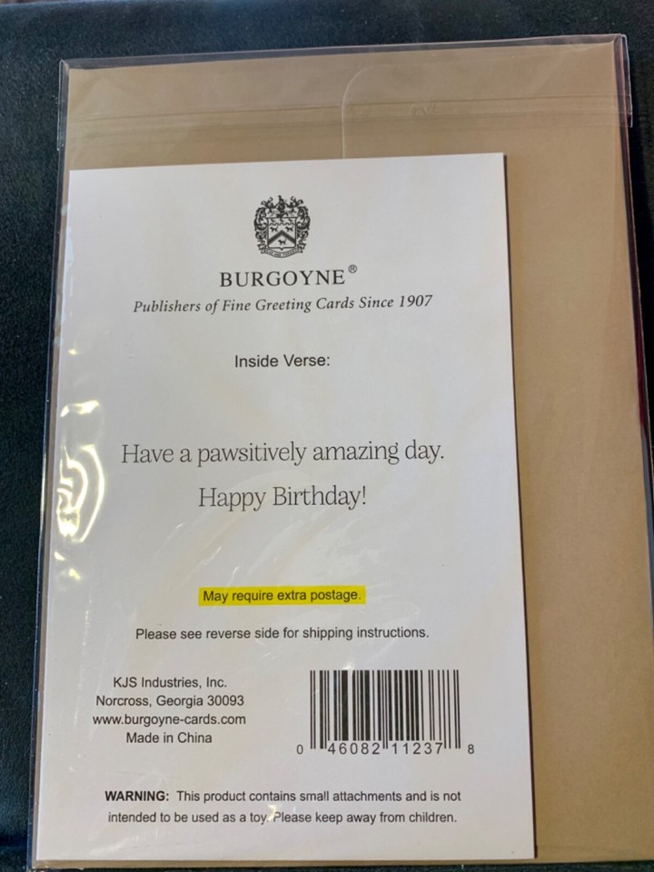 Happy Birthday Card! 3D Dog Walk! Pawsitively Amazing Burgoyne | eBay