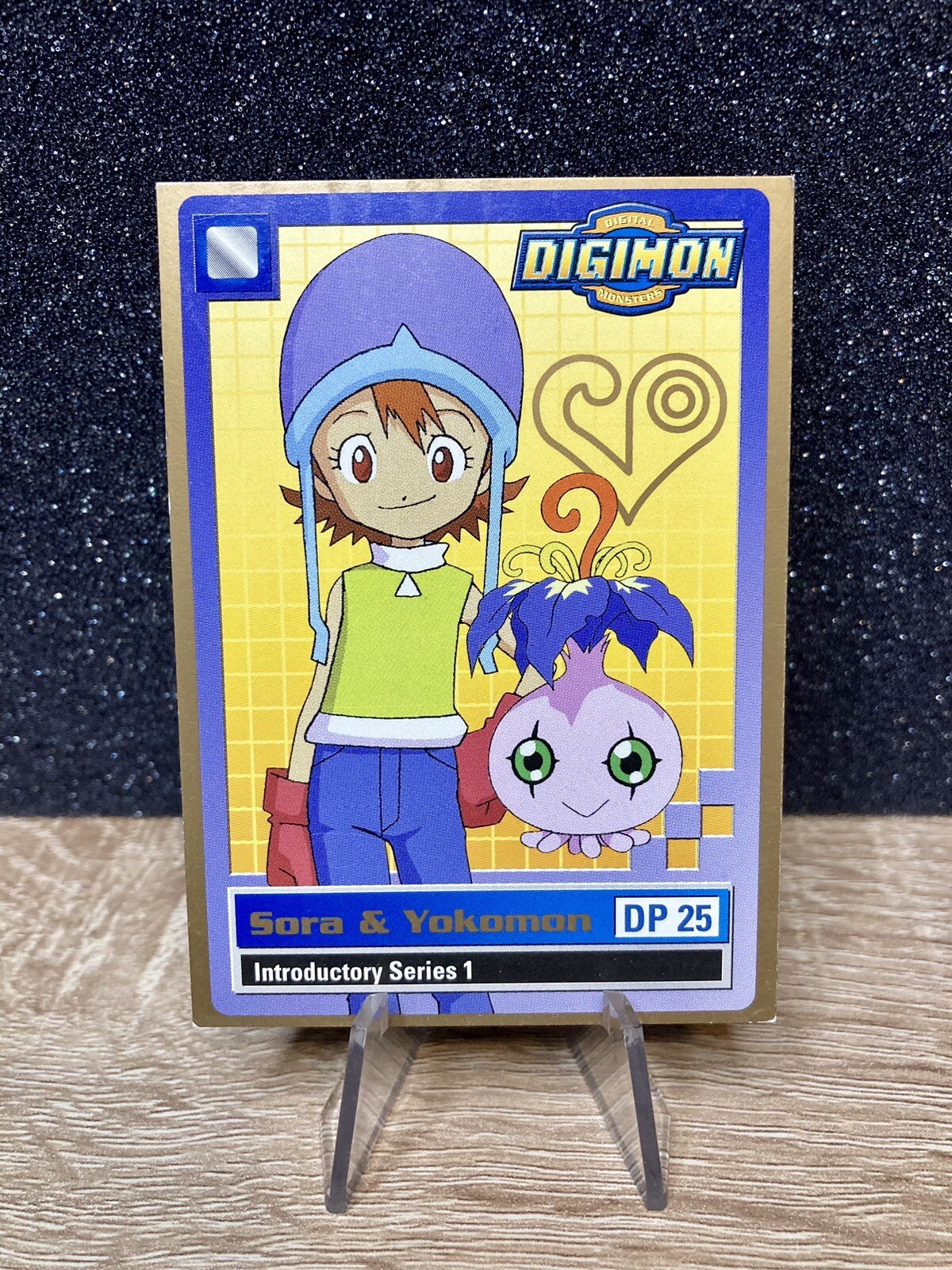 Sora & Yokomon ~ Digimon Introductory Series 1 Animated LP Vintage 1999 ...