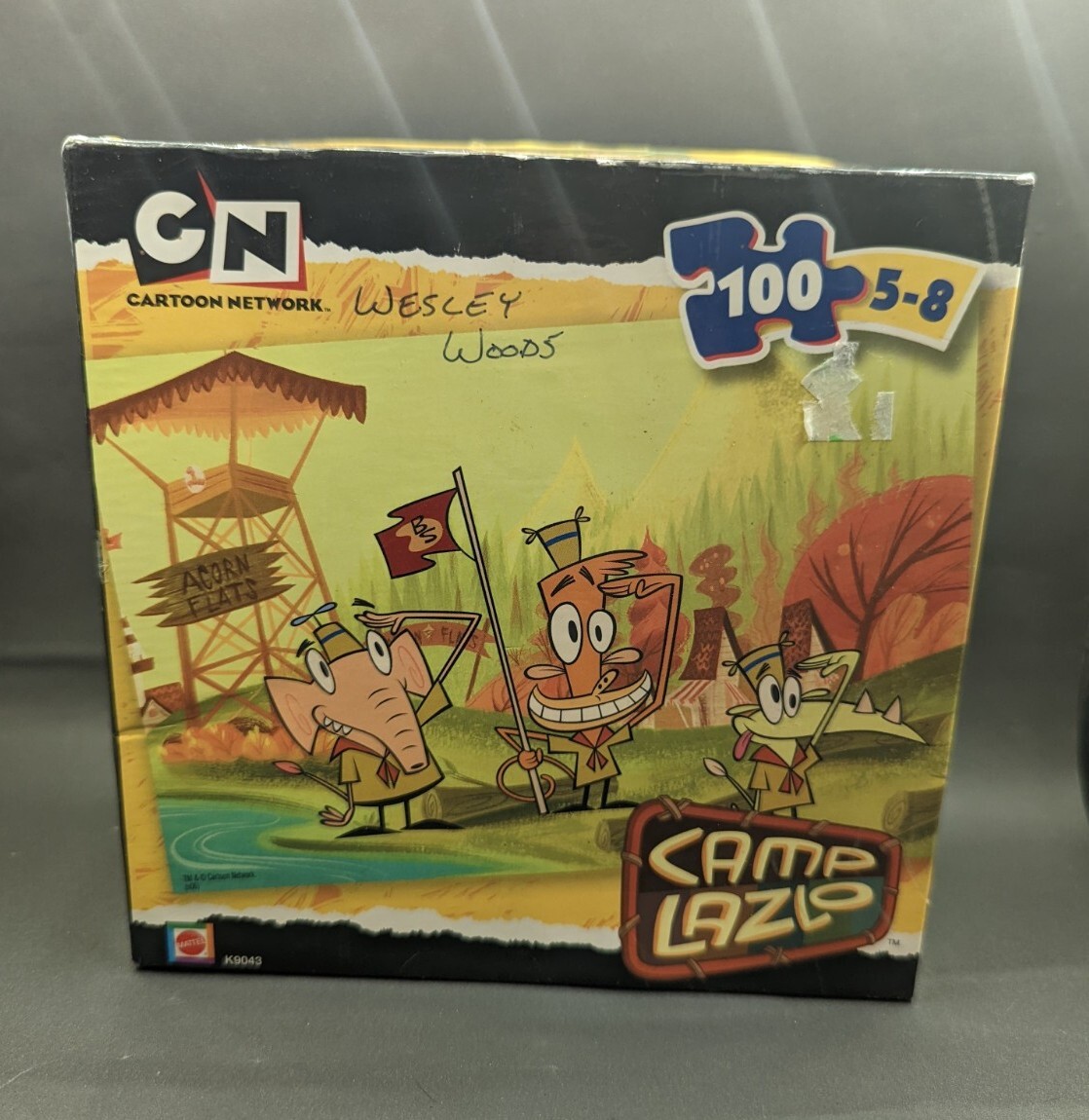Camp Cartoon Network