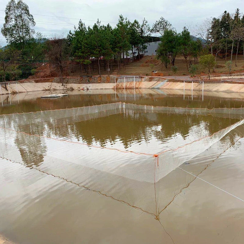 Goldfish Breeding Pond