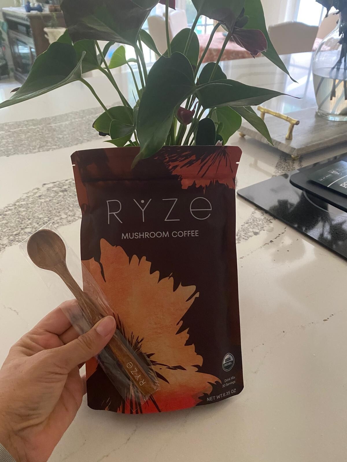 2024 New RYZE Mushroom Coffee Organic Coffee 30 Servings in one Pack ...