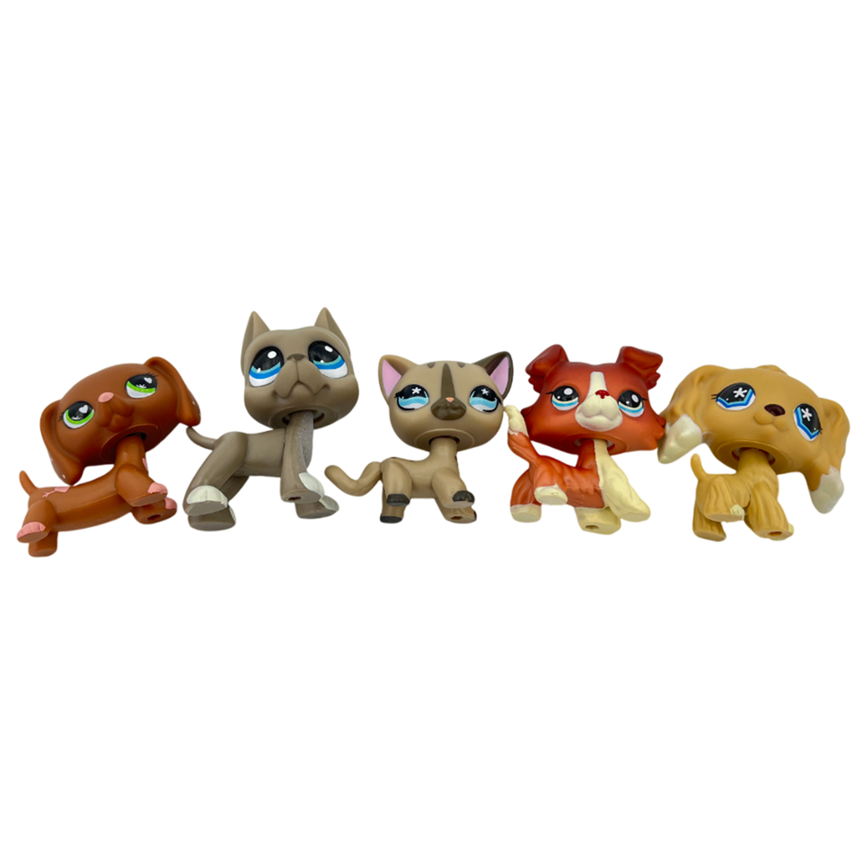5pcs/lot Littlest pet shop dogs and short hair cat #556 #184 #468 #1542 ...
