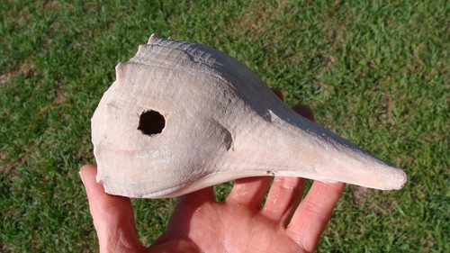 Rare SHELL HAMMER Deep South Arrowhead ~12~ | eBay