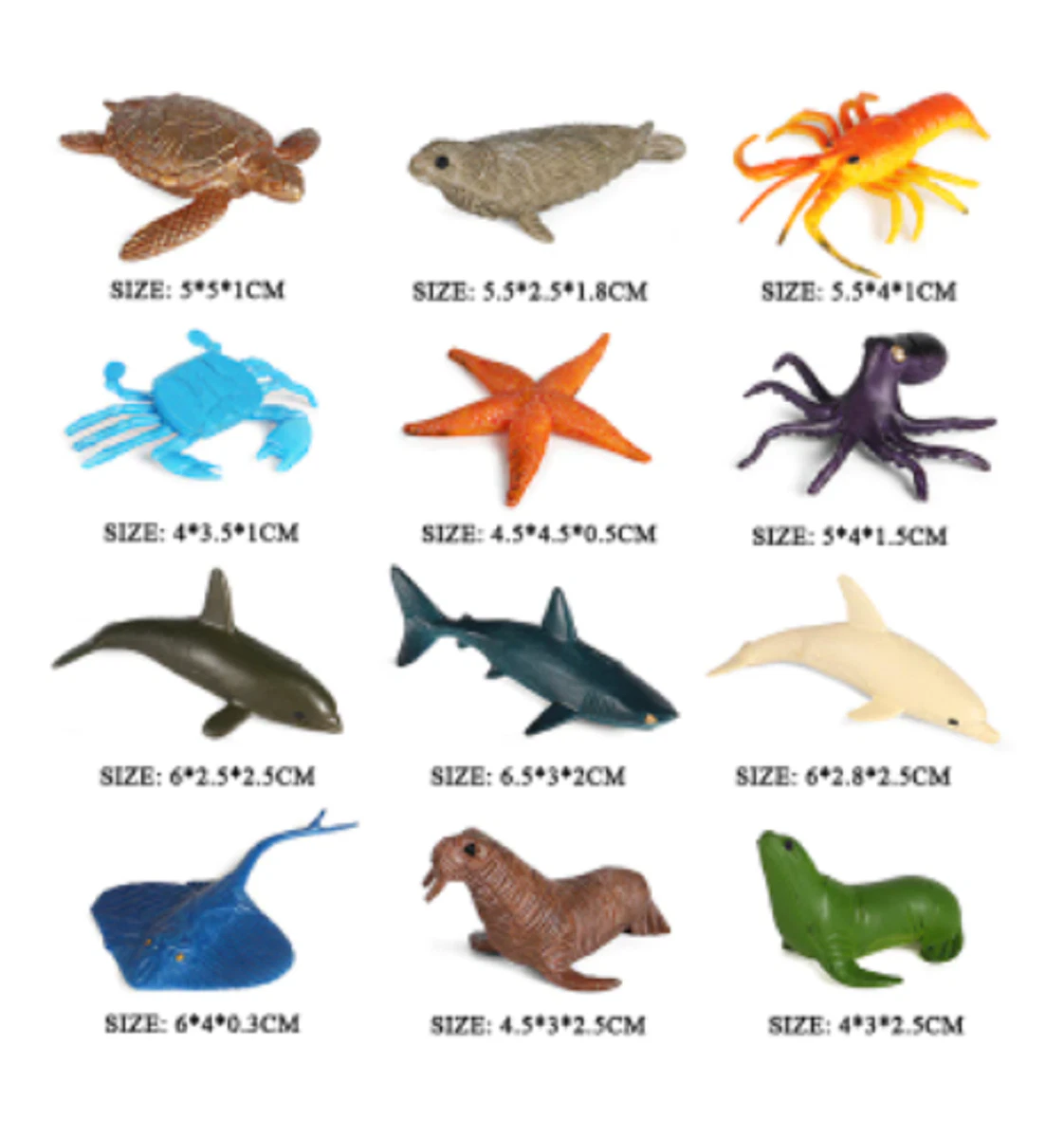 Acwarem Of Ocean Animals