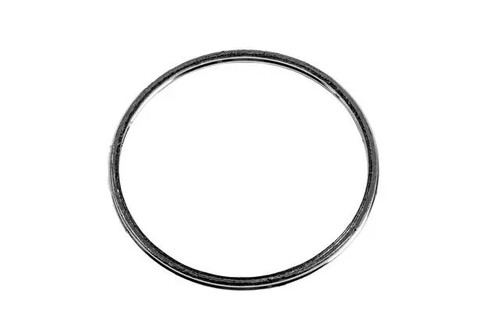 Genuine GM Exhaust Pipe To Manifold Gasket 12609878 | eBay
