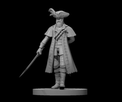 Pirate Captain Male Commoner NPC 28mm Scale DND D&D Tabletop Mini | eBay
