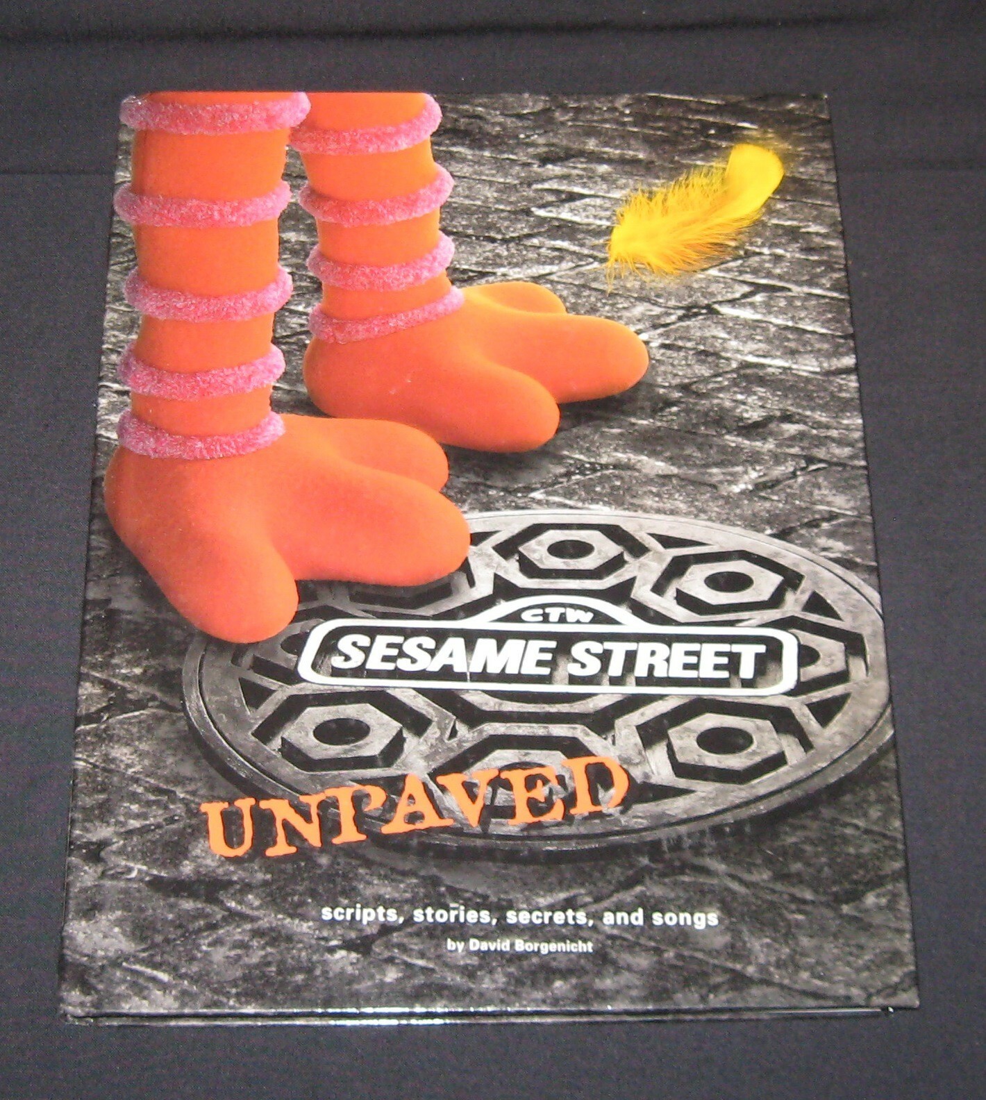 Sesame Street Unpaved : Scripts, Stories, Secrets and Songs by David ...