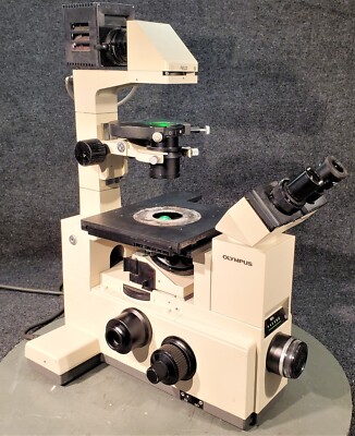 Microscopes - Inverted Phase Contrast Microscope