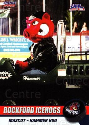 2002-03 Rockford Ice Hogs #24 Mascot | eBay