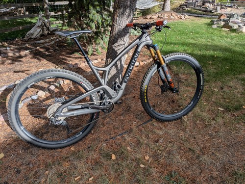 Evil Following - Medium Frame | eBay