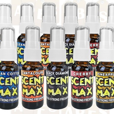Scent Max Extra Strong Air Freshener Spray, Home & Car Air Freshener ...