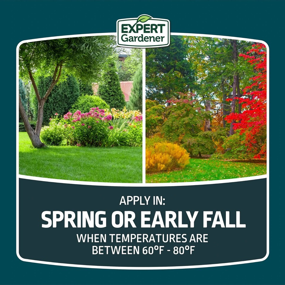 Expert Gardener Kwik Grass Seed Mix, for Sun to Partial Shade, 3 lb ...