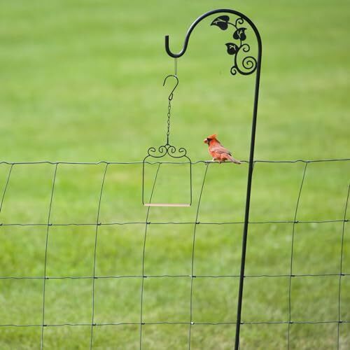 3 Pack Hummingbird Swings Bird Perch Metal Frame with Wooden Dowel for ...