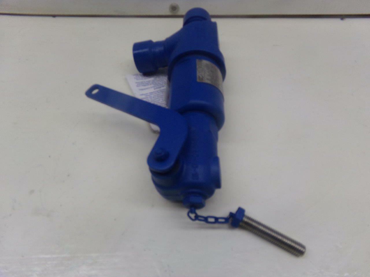 Leser 00FG-PSV-200 4592.2473 NPT 3/4" 300 PSI (U3) Pressure Relief ...