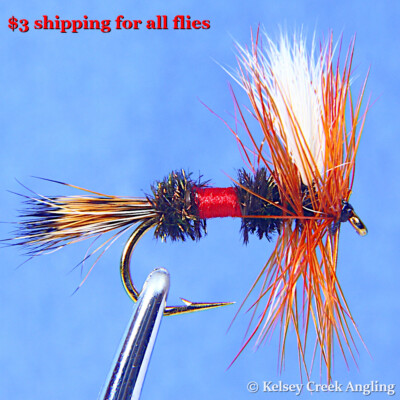 Dry - Strike Indicators