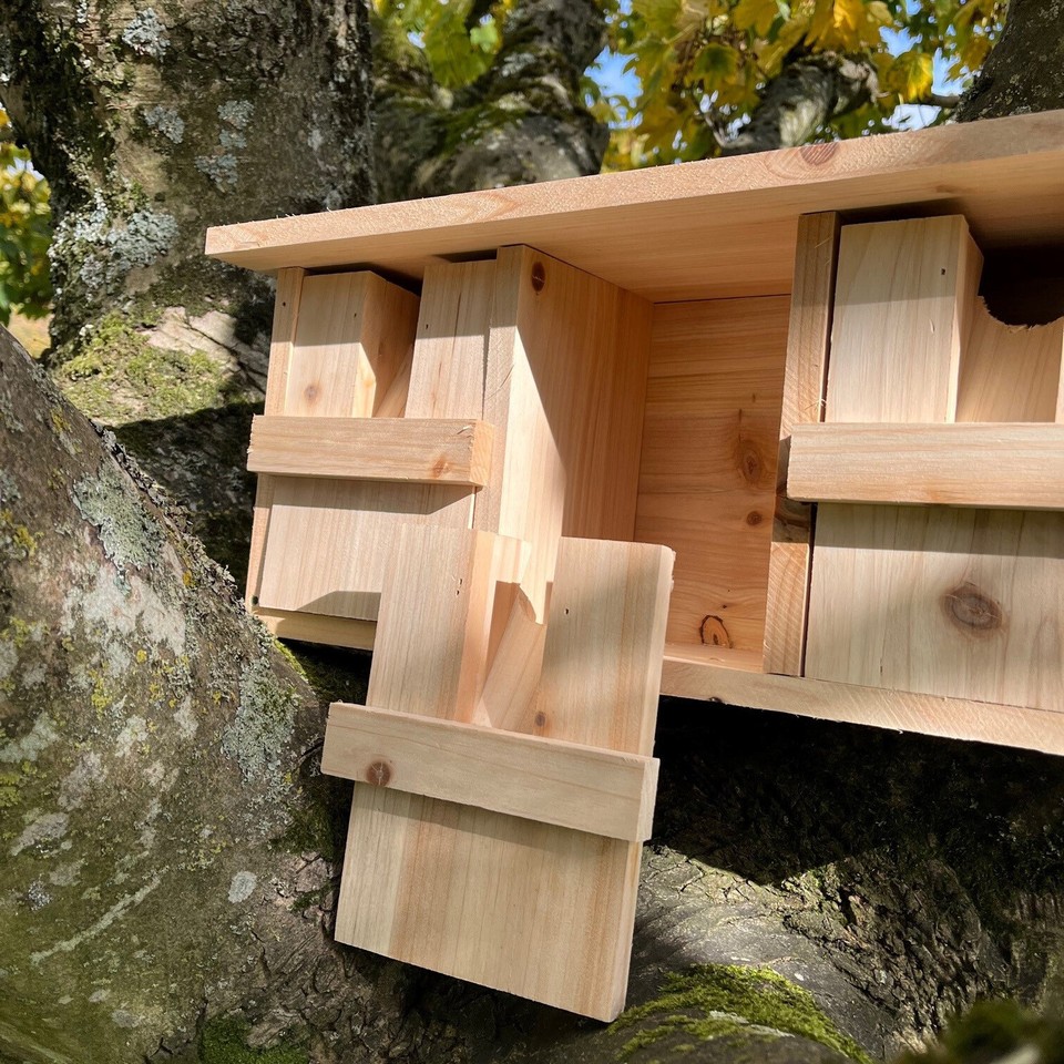 Bird Nest Box Wood Wooden Nesting Boxes Wild Birdhouse Straw Robin ...