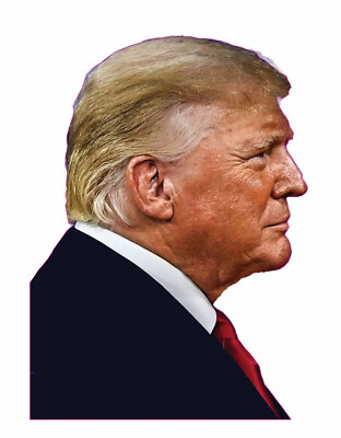 2024 President Donald Trump Car Decal Sticker Passenger Side Window USA ...