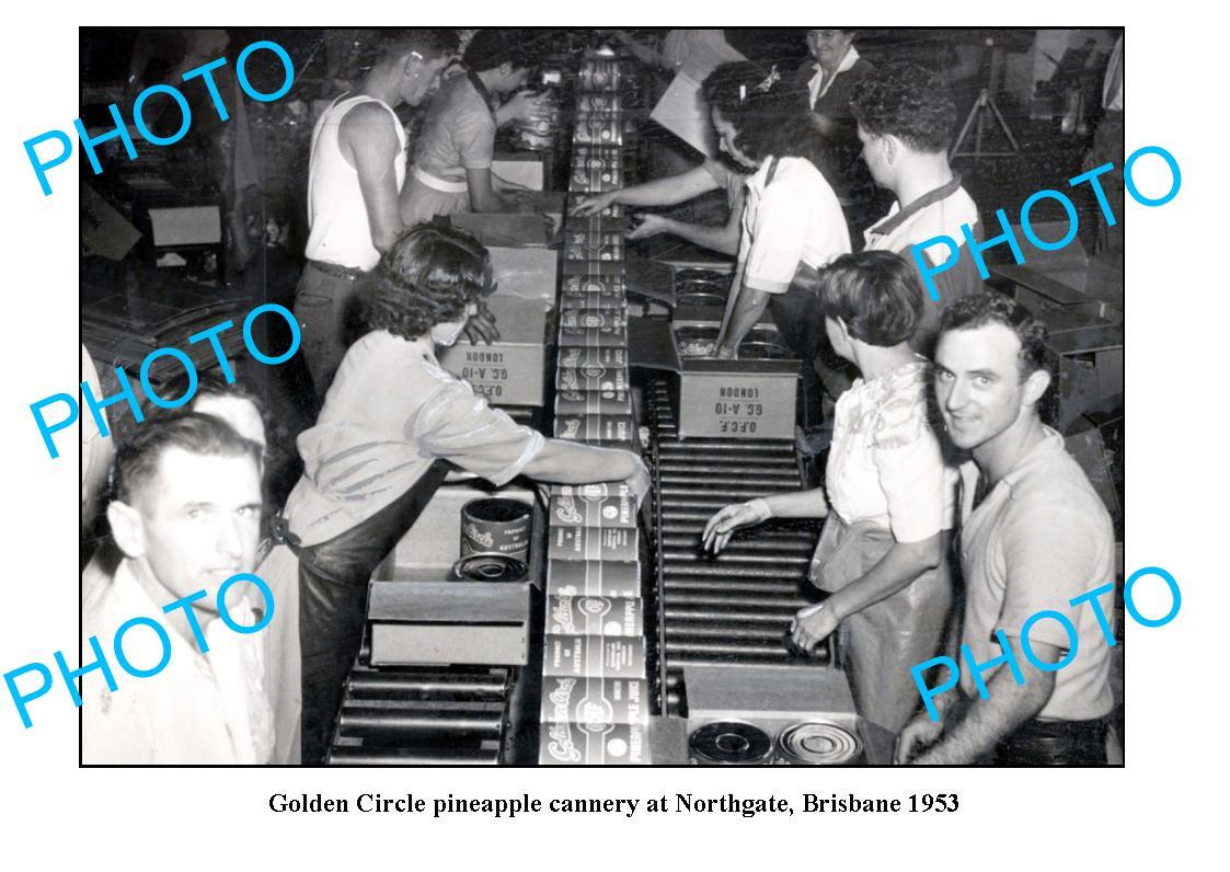 OLD LARGE PHOTO GOLDEN CIRCLE PINEAPPLE CANNERY NORTHGATE BRISBANE ...