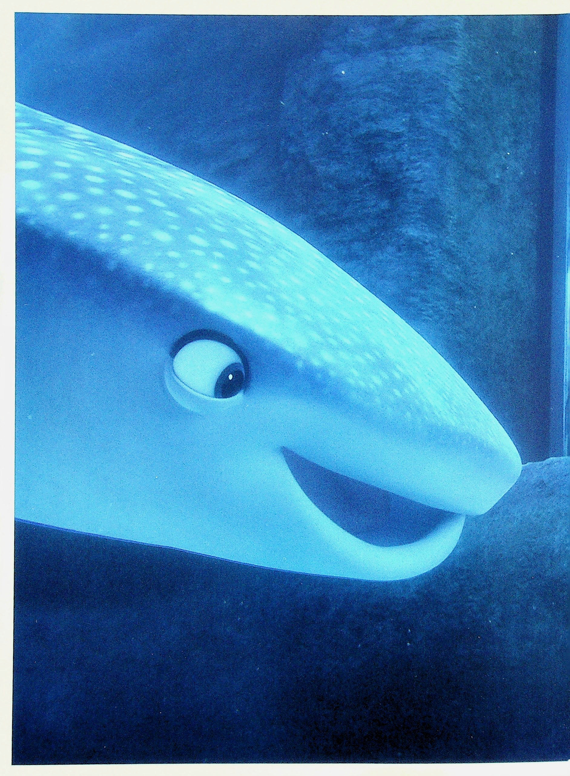 Destiny - Disney Pixar Finding Dory Mini Poster 8x11 NEMO | eBay